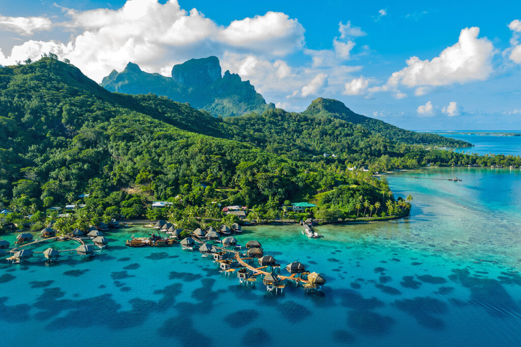 Welcome to the South Pacific – Guide & FAQs | ANZCRO