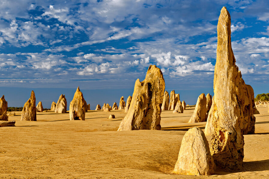 5 Day Perth Convicts, Culture & Pinnacles | ANZCRO